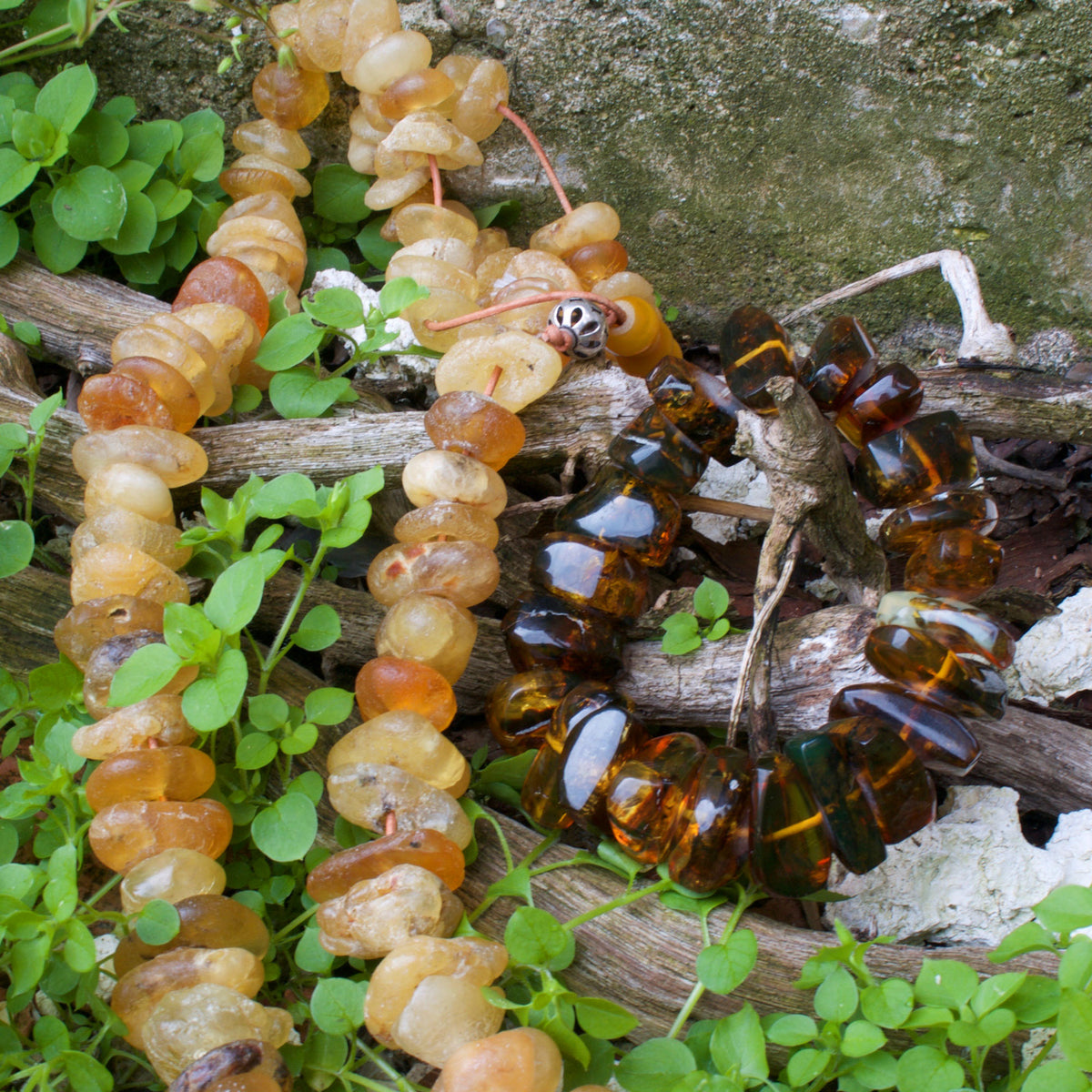 Chiapas Amber - Larc Jewelers